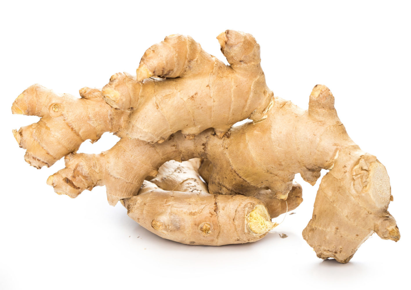 Ingwer | Kräuter & Gewürze | Warum Ingwer so gesund ist